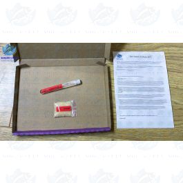 Vinegar Eel Turbatrix Aceti Starter Culture Fry Live Food KIT